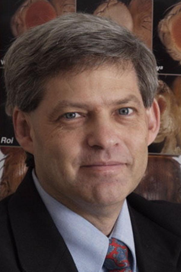 Stephen Helfand, MD | Center on the Biology of Aging